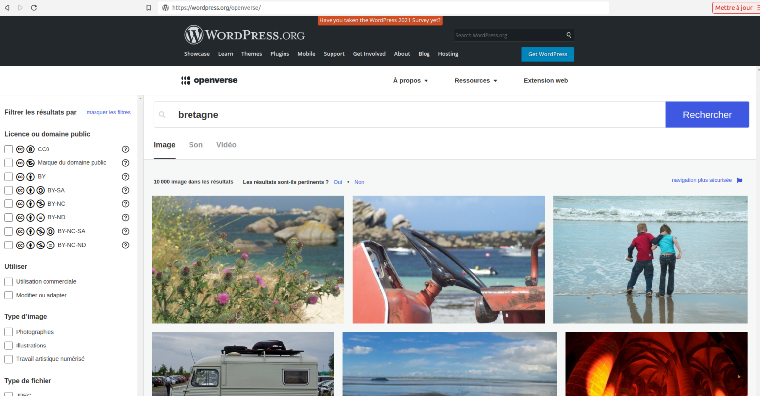Openverse : 500 millions d’images libres de droit, par la fondation ...